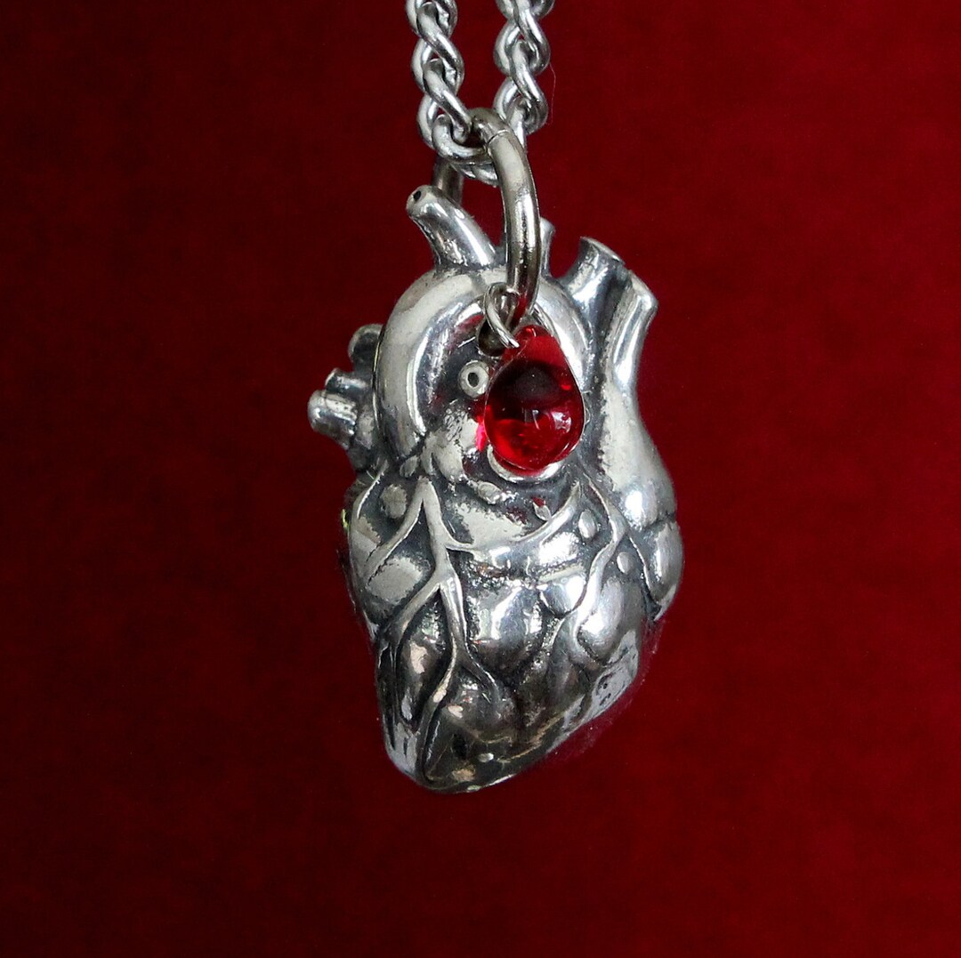 Anatomical Human Heart Pendant Charm Necklace Solid 925 - Etsy