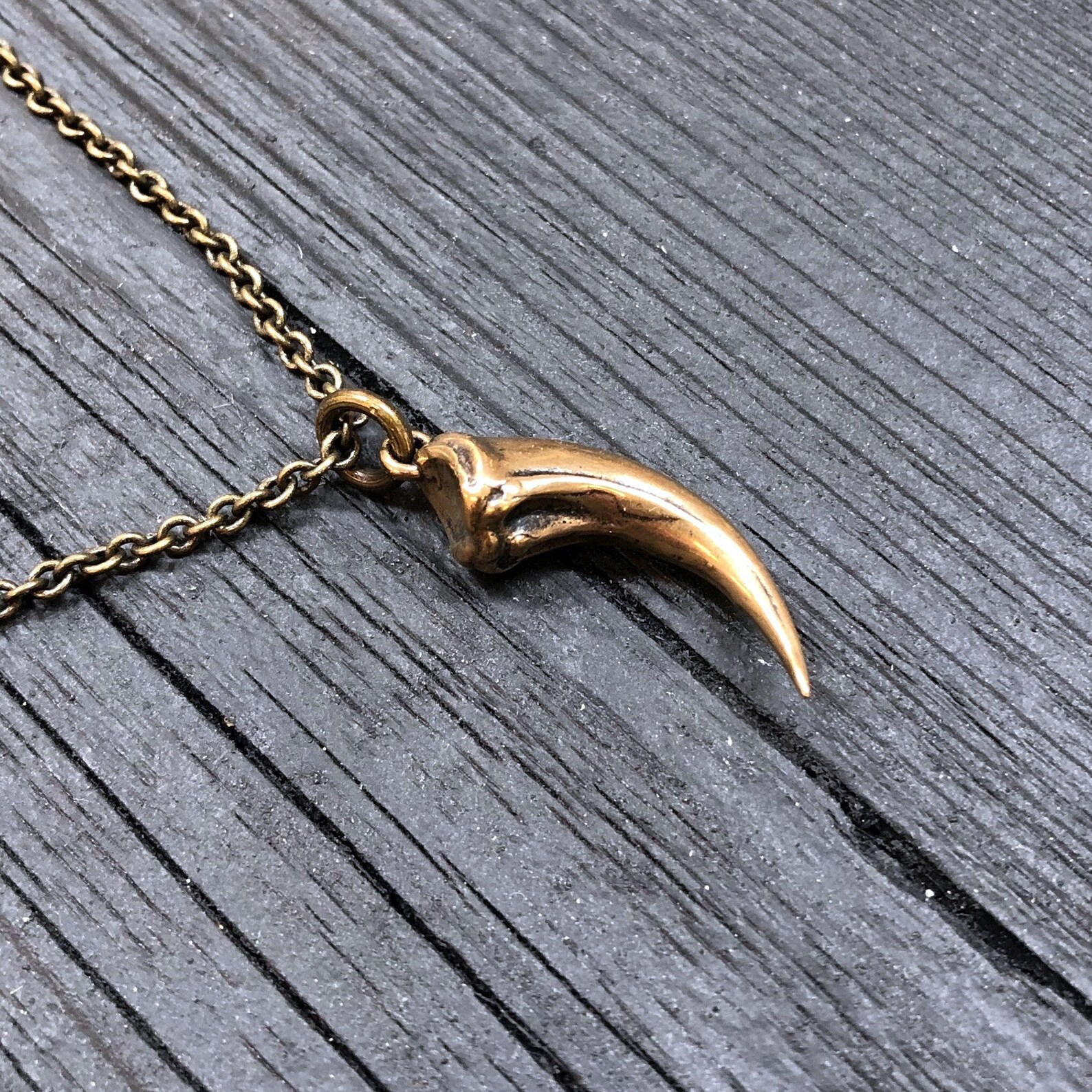 Velociraptor Claw Necklace in Solid Bronze Deinonychus Claw - Etsy