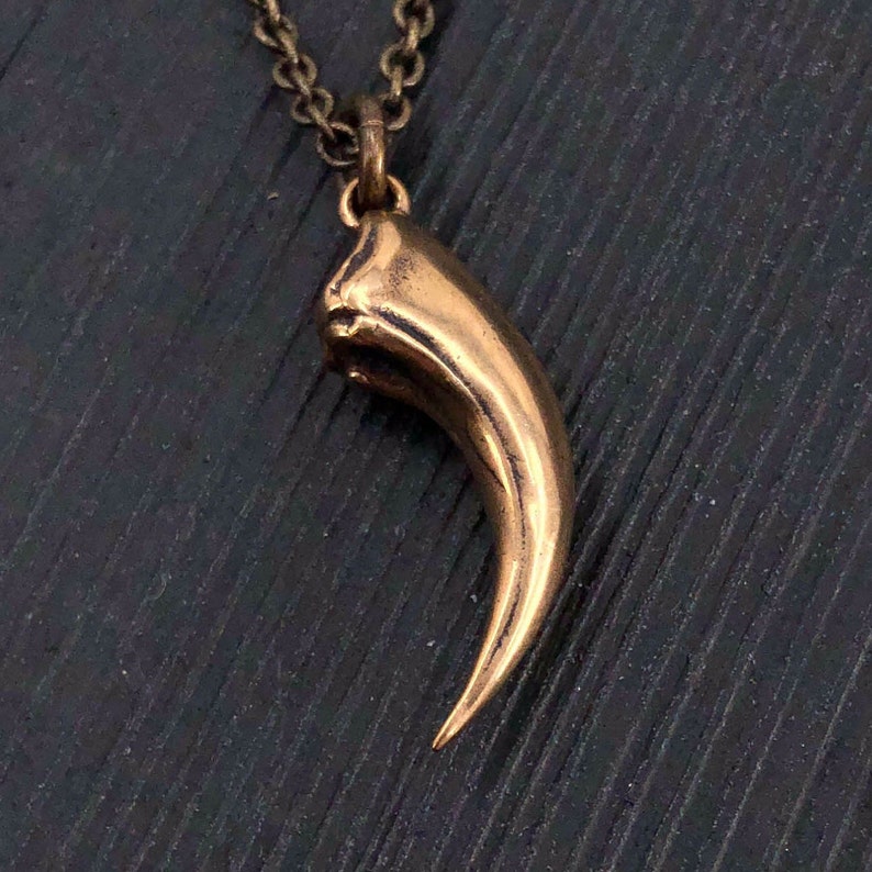 Velociraptor Claw Necklace in Solid Bronze Deinonychus Claw - Etsy