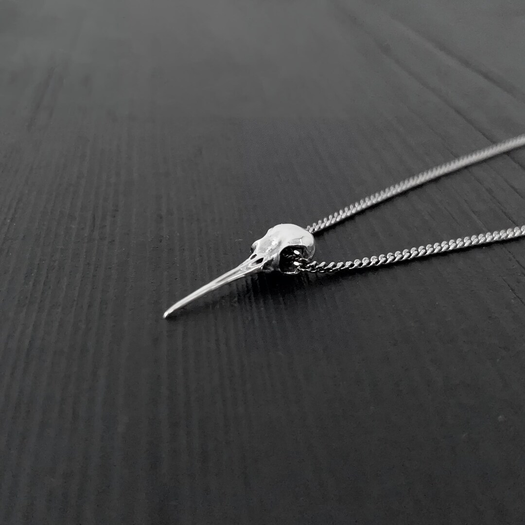 Sterling Silver Ruby-throated Hummingbird Skull Necklace – Bird Skull ...