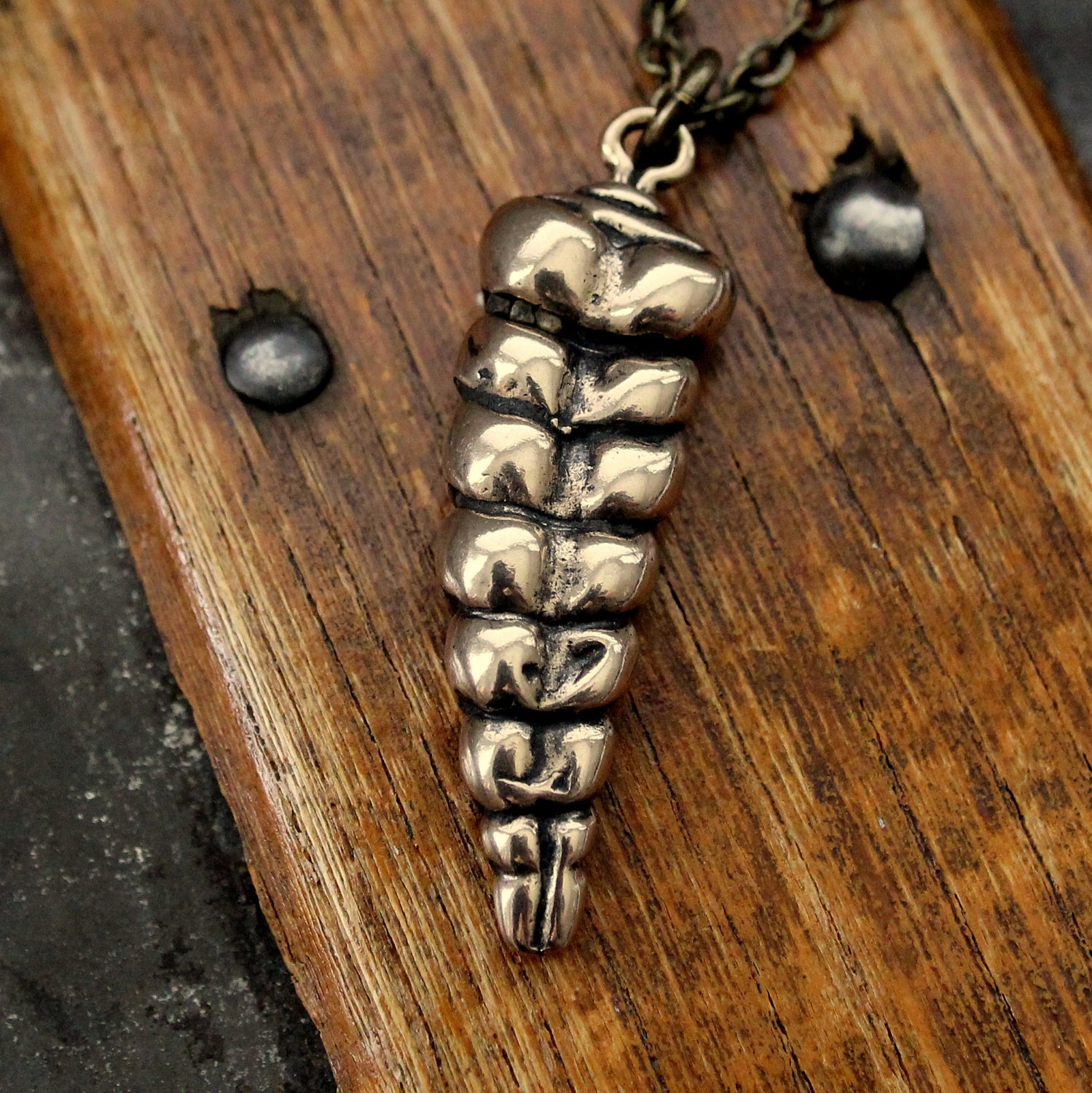Rattlesnake Tail Necklace in Solid Bronze Rattle Snake Pendant - Etsy