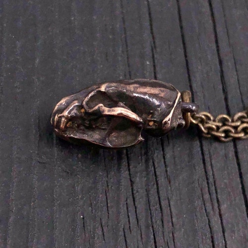 Hyena Skull Necklace Carnivore Animal Head Pendant Jewelry in - Etsy ...