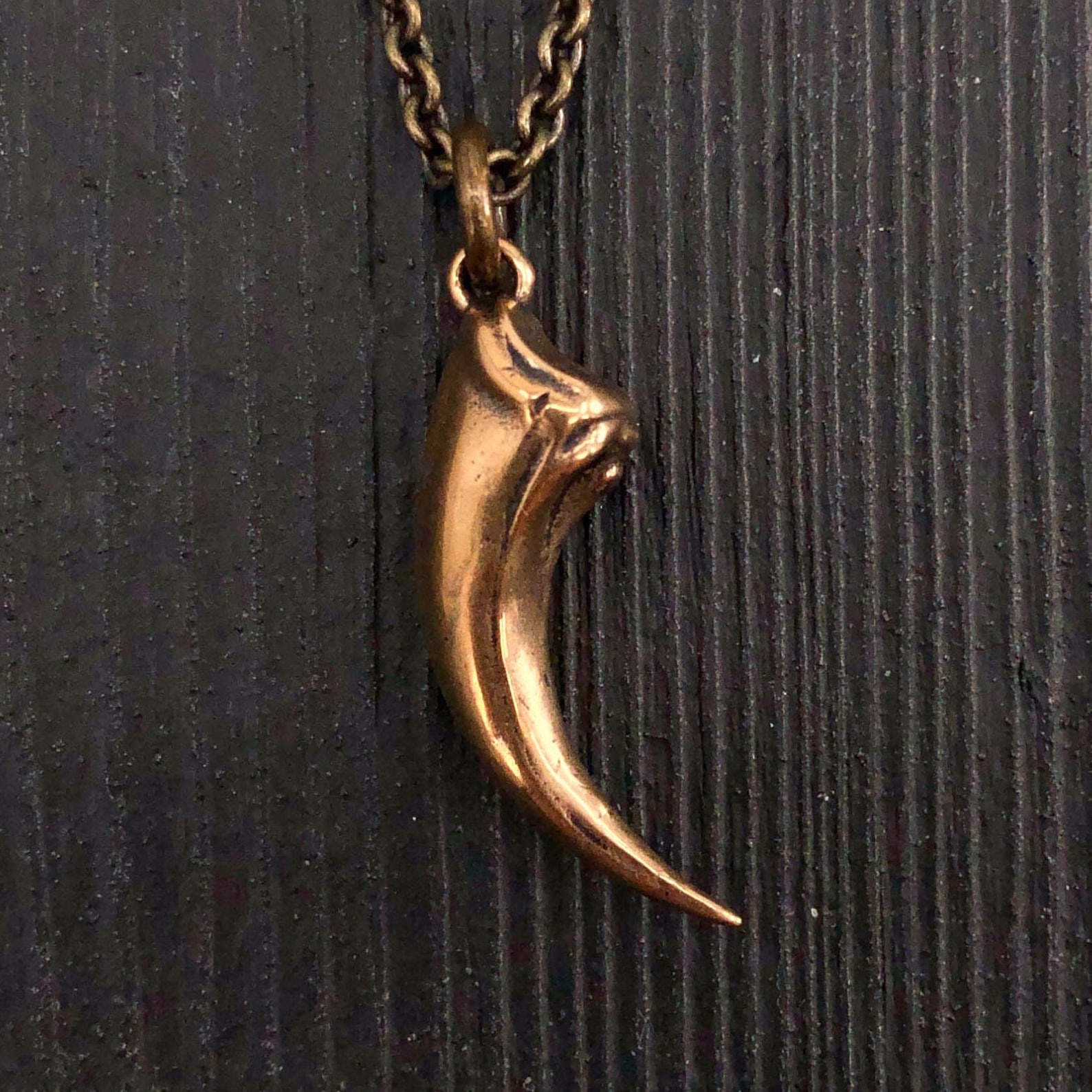 Velociraptor Claw Necklace in Solid Bronze Deinonychus Claw - Etsy