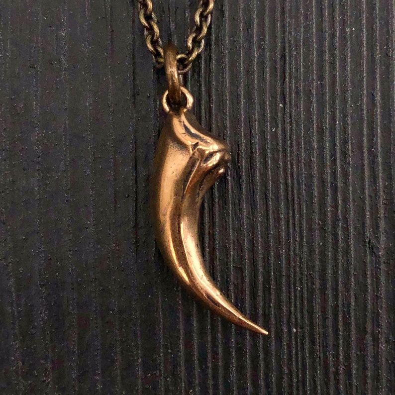 Velociraptor Claw Necklace in Solid Bronze Deinonychus Claw - Etsy