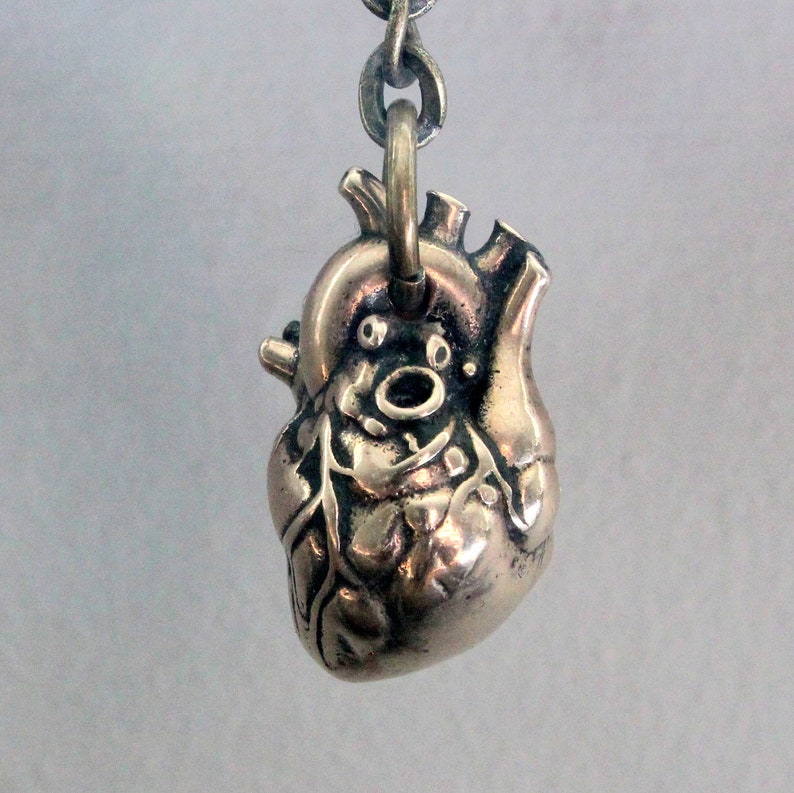 Anatomical Heart Charm Key Chain Solid Hand Cast Jewelers - Etsy