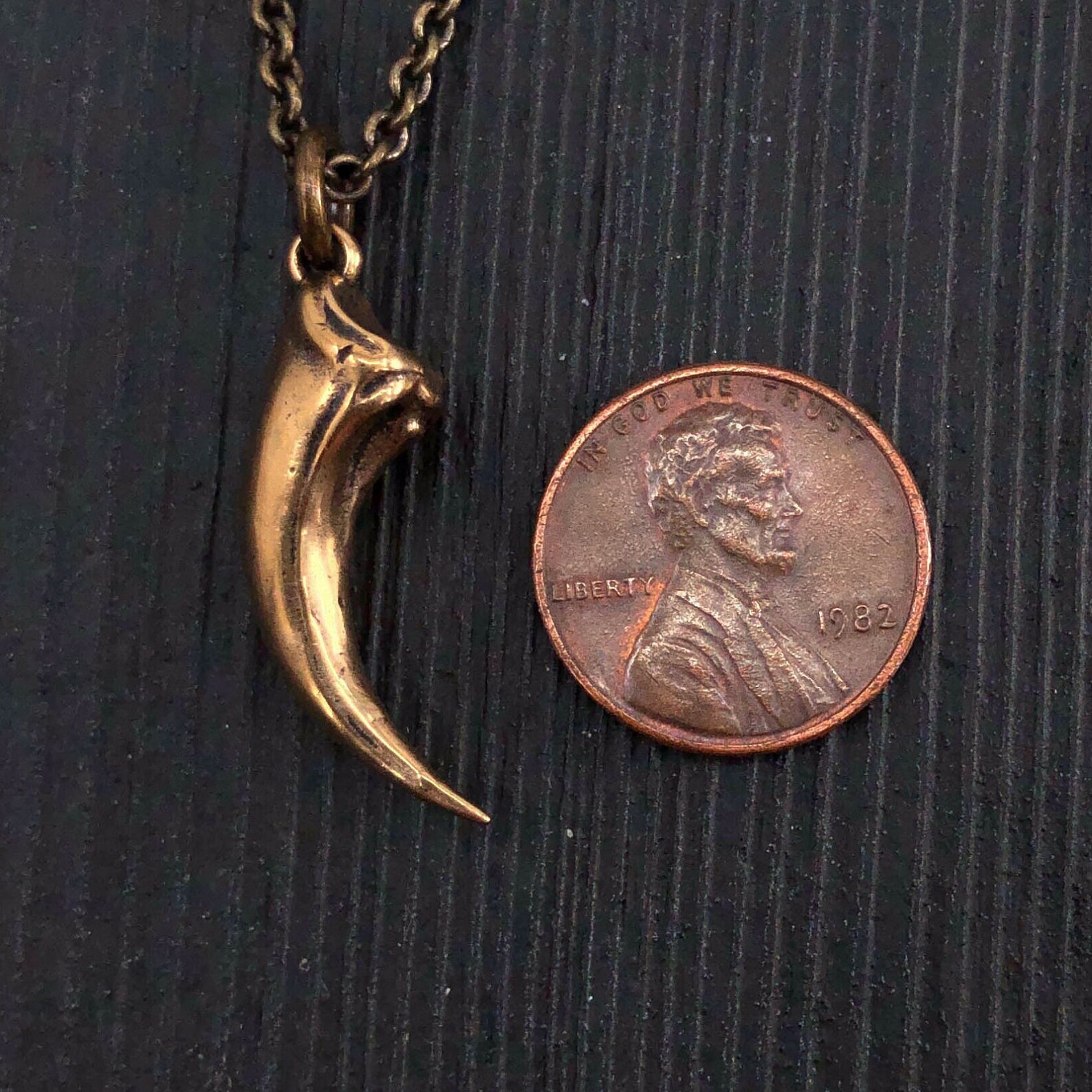 Velociraptor Claw Necklace in Solid Bronze Deinonychus Claw - Etsy