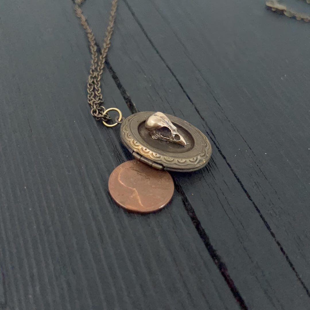 Antique Brass Bird Skull Locket Necklace - Etsy