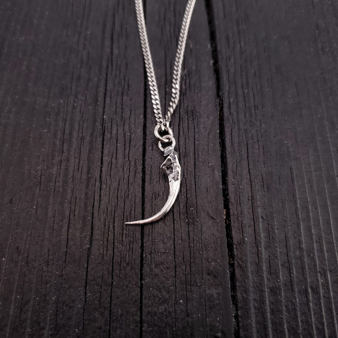 Rattlesnake Fang Charm Pendant Necklace, Silver Snake Chain Necklace ...