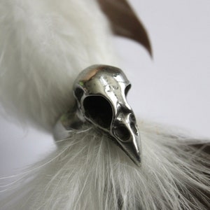 Bird Skull Ring Solid Sterling Silver Baby Crow Skull Ring Size Six ...