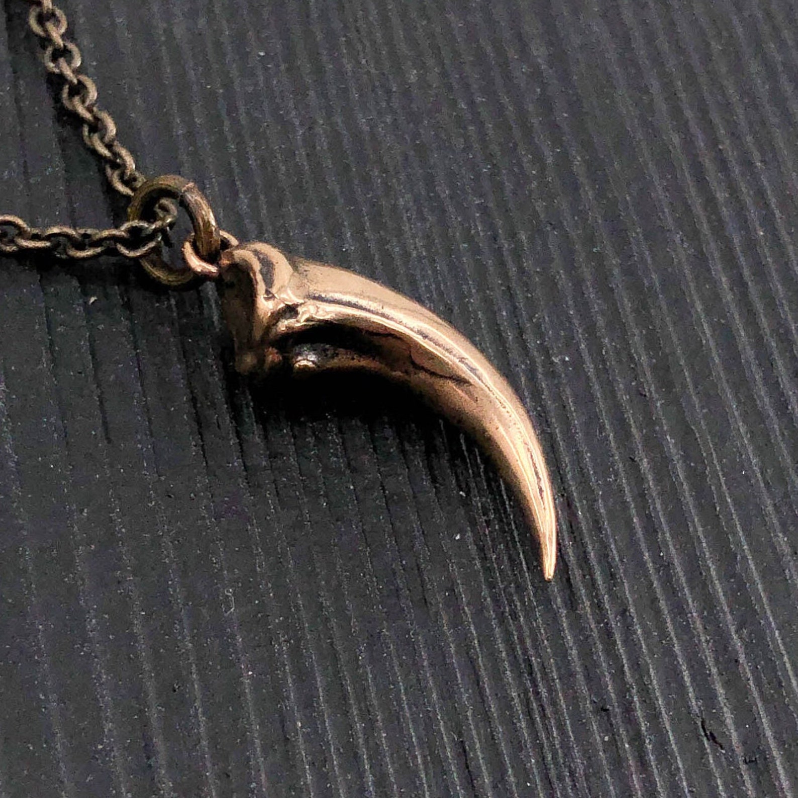 Velociraptor Claw Necklace in Solid Bronze Deinonychus Claw - Etsy