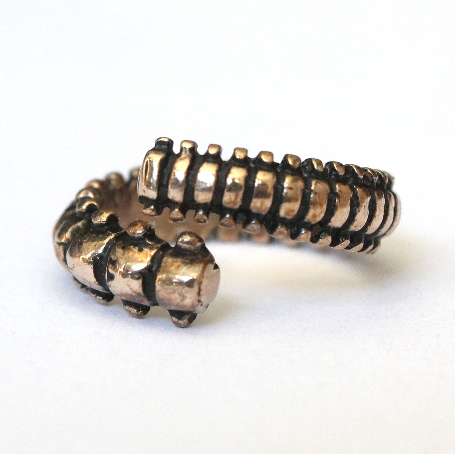 Human Vertebrae Ring in Solid Bronze Spine Ring | Etsy