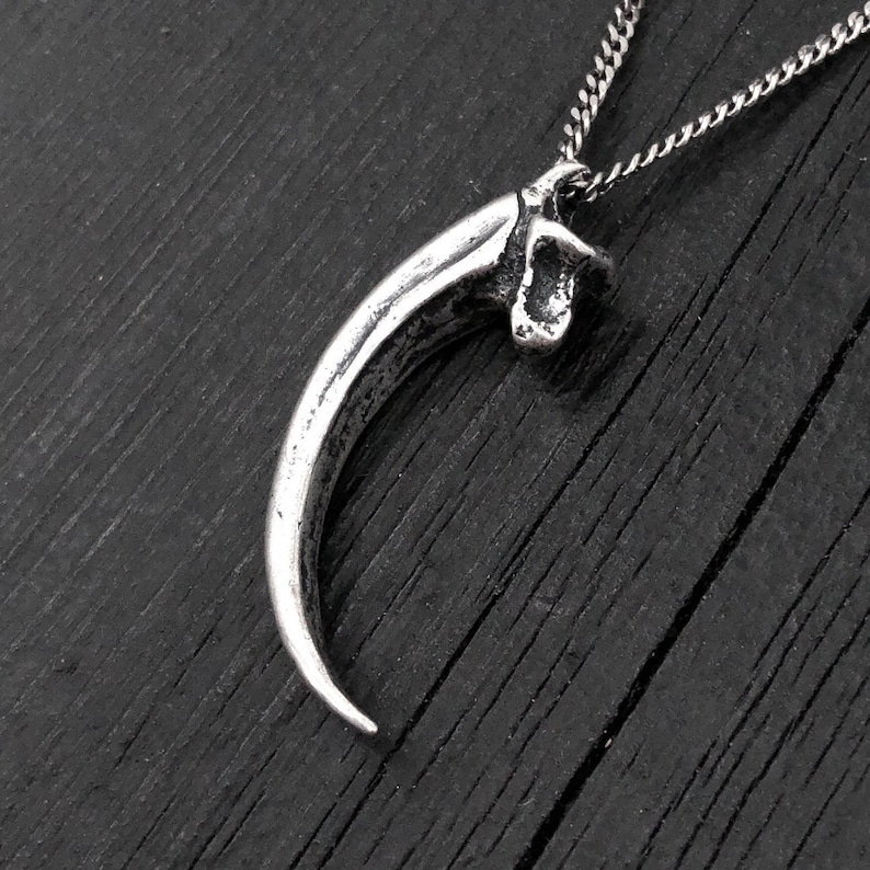 Eagle Talon Claw Pendant Necklace Solid Silver Plated White - Etsy