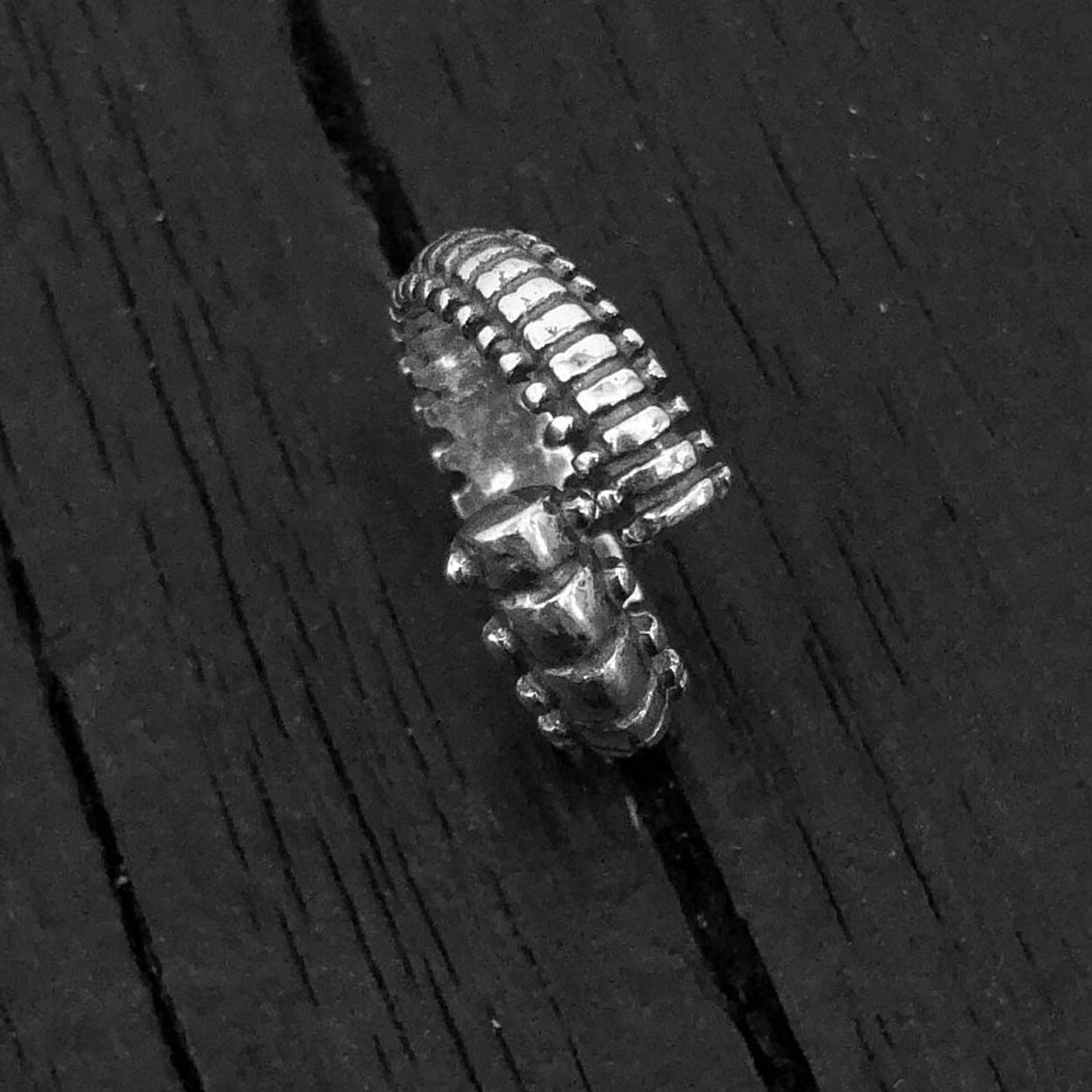 Vertebrae Ring Silver Human Vertebrae Spine Ring - Etsy