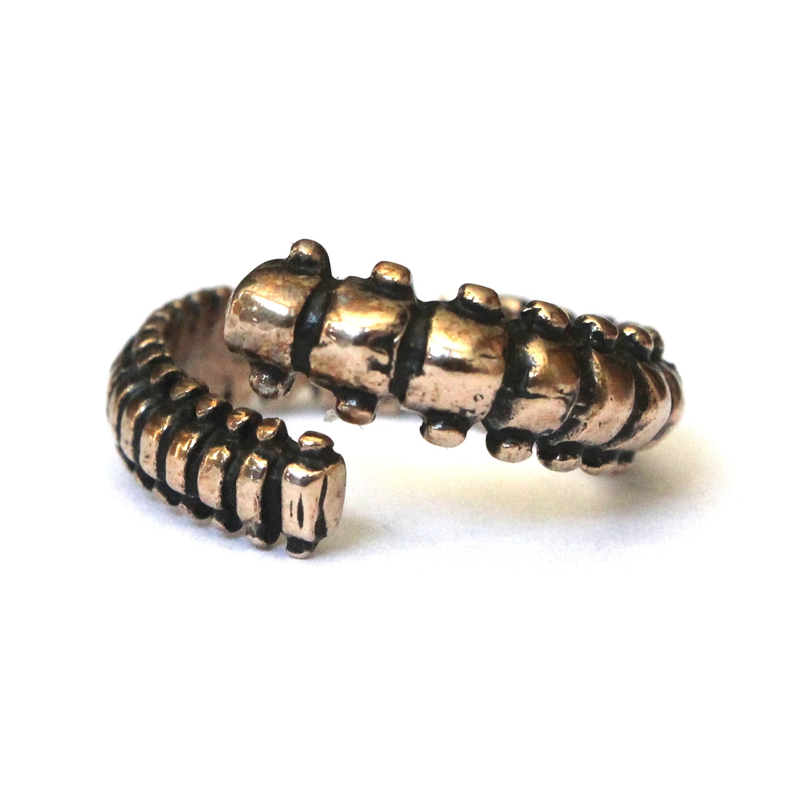 Human Vertebrae Ring in Solid Bronze Spine Ring | Etsy