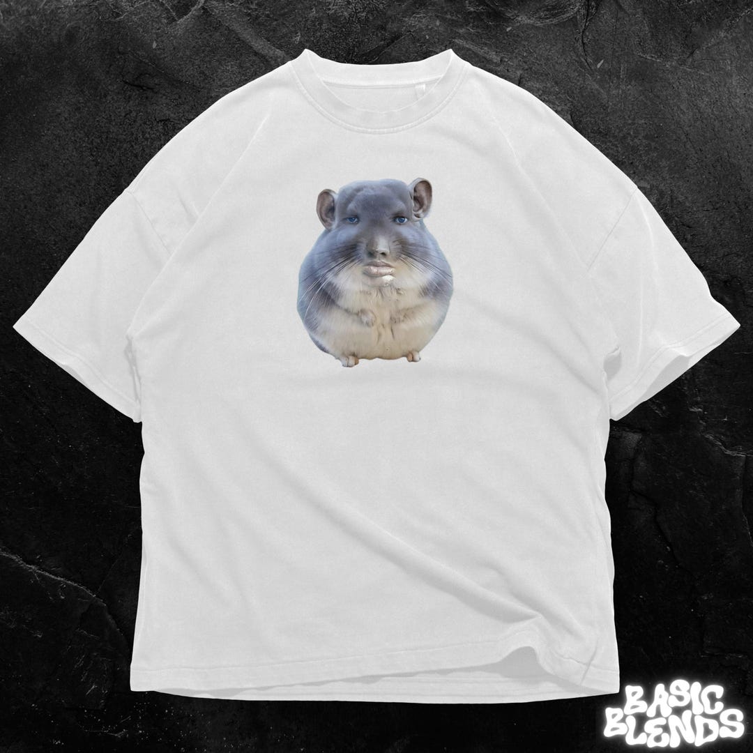 Goofy Chinchilla Tiktok Meme T-shirt, Funny Shirt for Gift, Men's ...