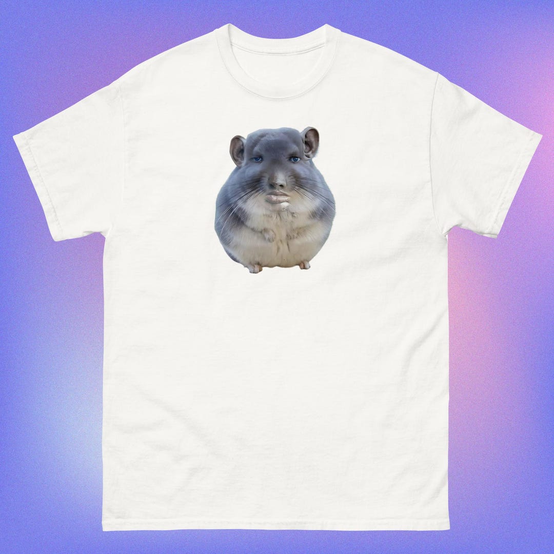 Goofy Chinchilla Tiktok Meme T-shirt, Funny Shirt for Gift, Men's ...