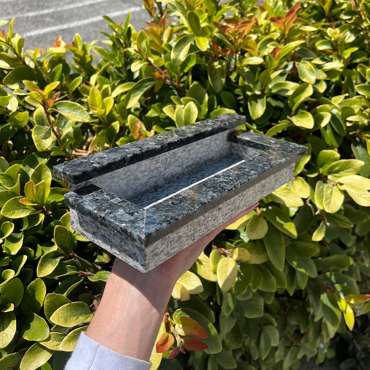 Avenue Flora Fingerboard Ledge - Etsy