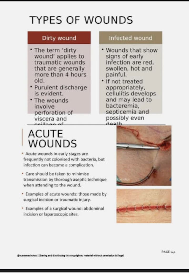 NURSING STUDENT BUNDLE 2024 - Etsy