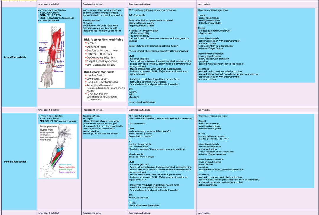 PT Study Guide Elbow - Etsy