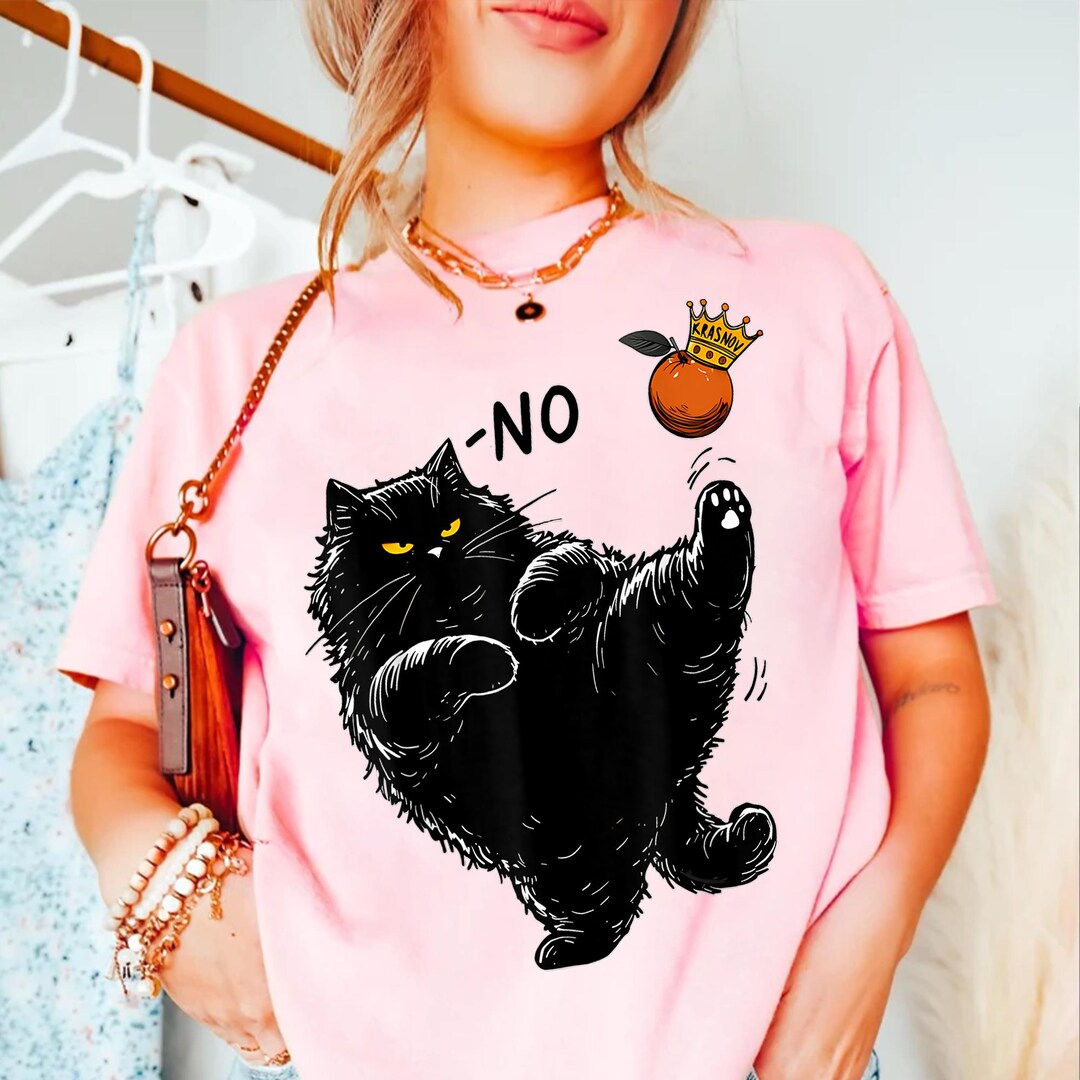 Angry Black Cat Kick PNG, Funny Anti Orange Fruit, Grumpy Cat ...