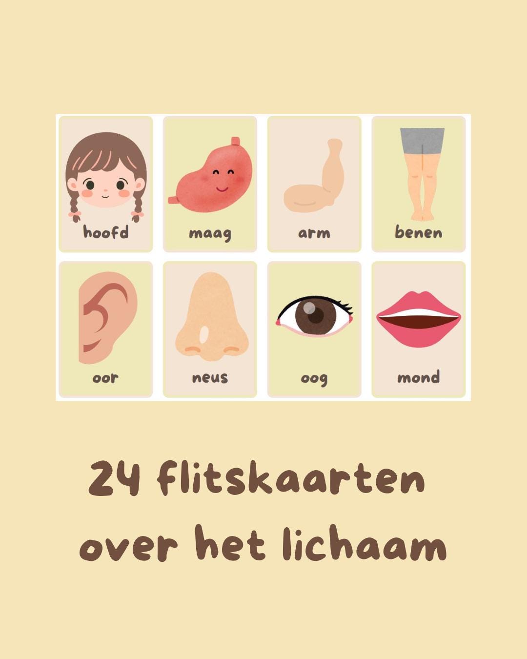Flashcards / Flashcards About the Body - 24 Pieces - Dutch - Etsy Australia