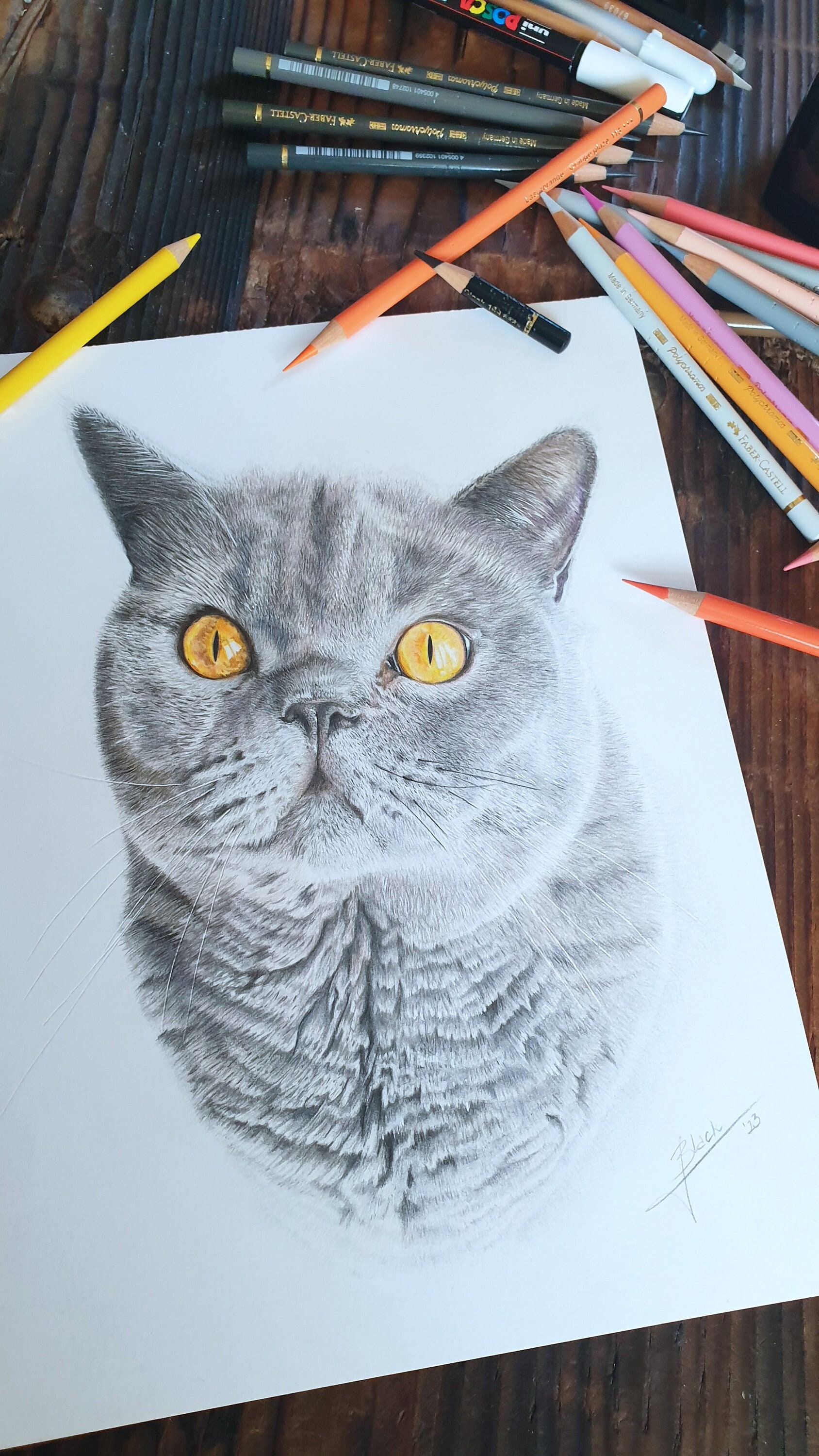 Hand-drawn Animal Portrait Based on a Photo. Pet Portrait ...