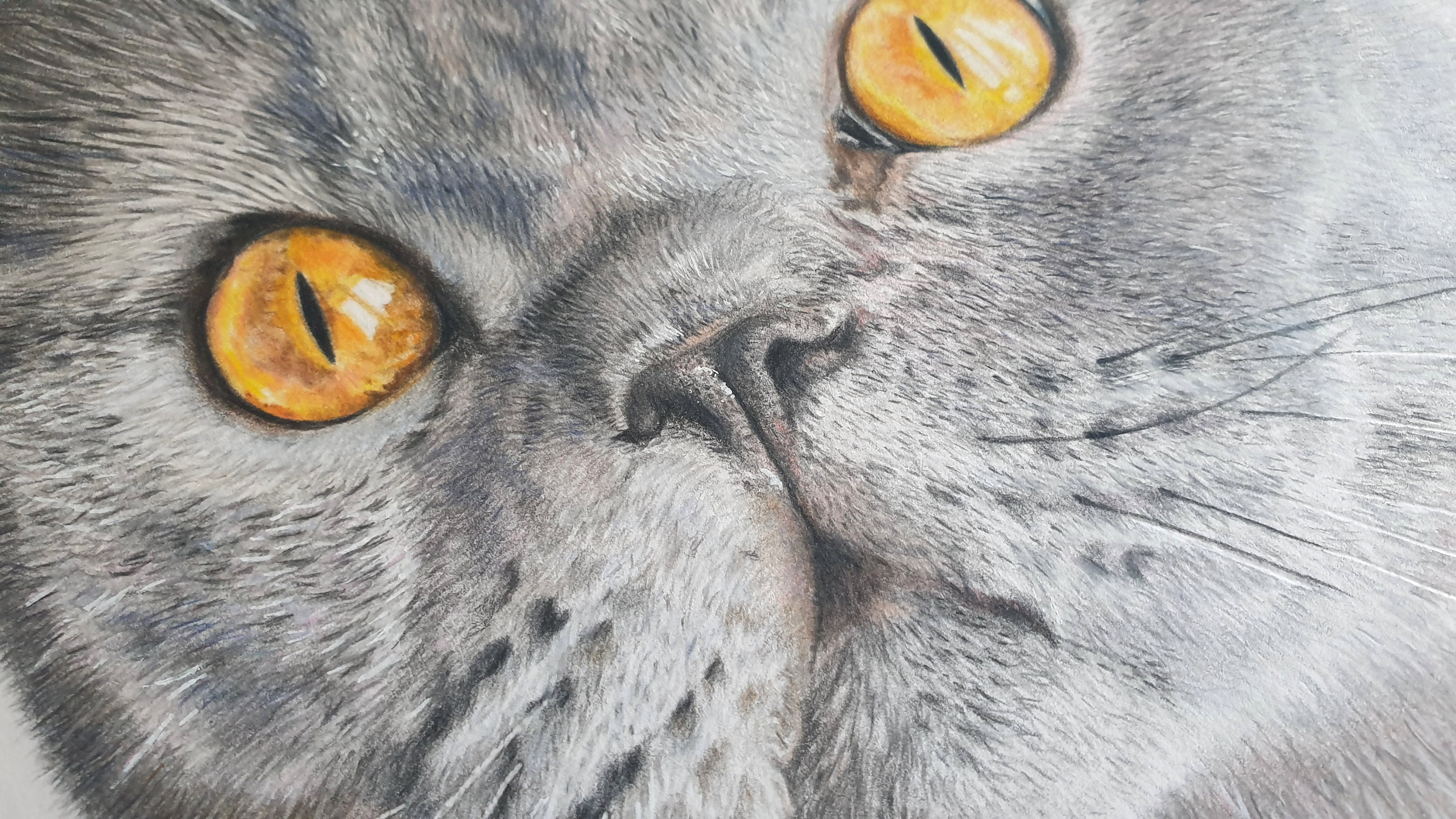 Hand-drawn Animal Portrait Based on a Photo. Pet Portrait ...