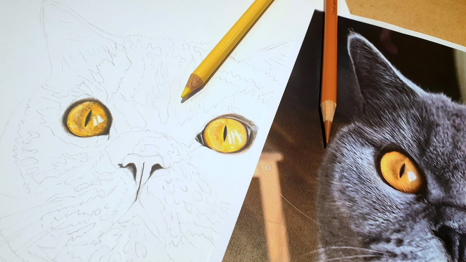 Hand-drawn Animal Portrait Based on a Photo. Pet Portrait ...