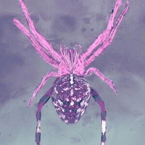 Slightly Scary Spider Pink and Purple Original Stylized Unique Artwork ...
