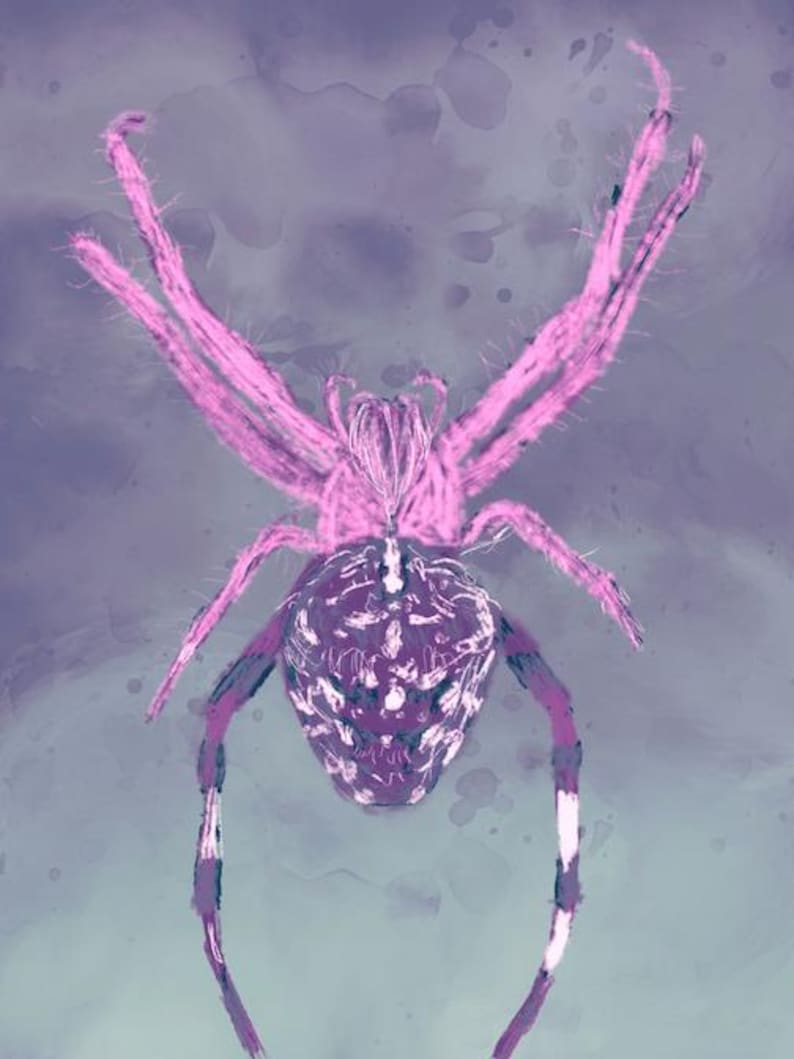 Slightly Scary Spider Pink and Purple Original Stylized Unique Artwork ...