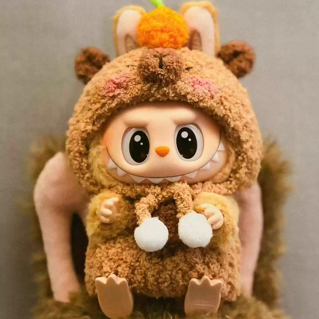 Labubu,labubu Clothes,handmade Crochetcapybara'outfit,labubu Macaron ...