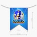 Sonic Banner Flag |sonic Banner Printable, Editable Sonic Birthday ...