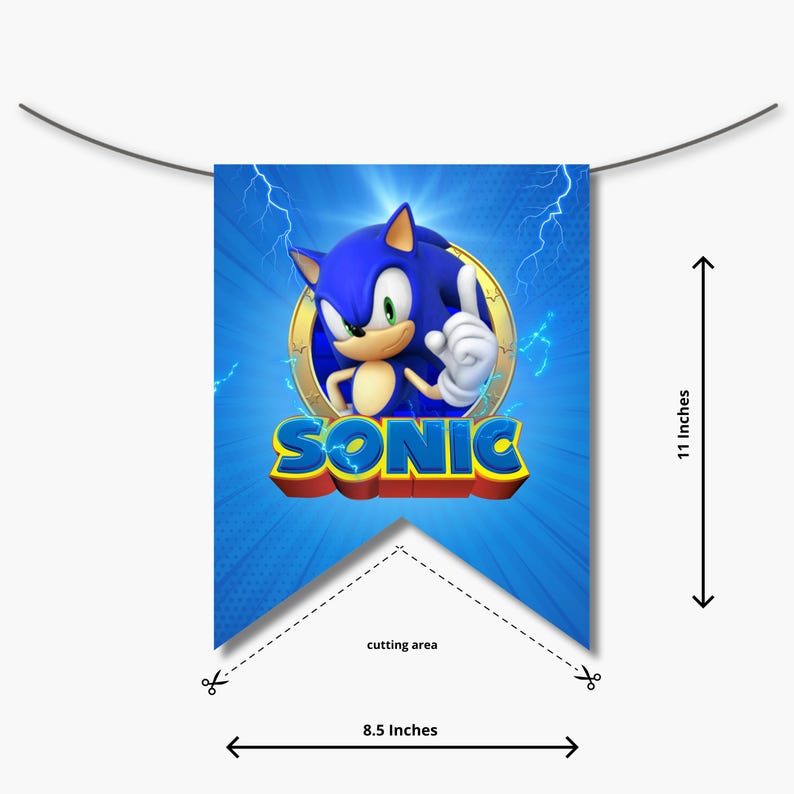 Sonic Banner Flag |sonic Banner Printable, Editable Sonic Birthday ...
