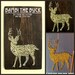 String Art Pattern Bambi The Buck 10 x 8 - Etsy 日本