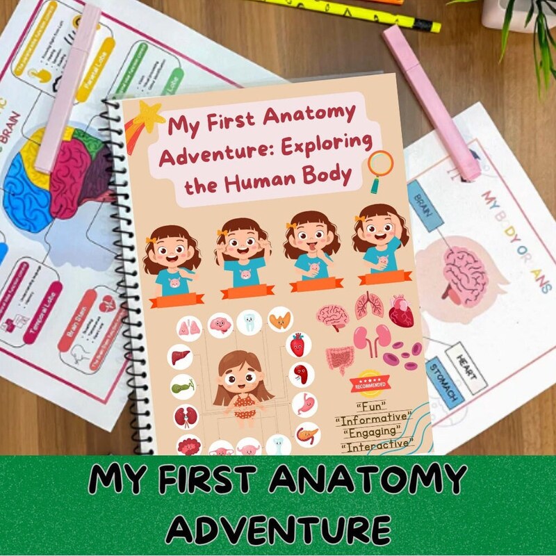 Human Body Book - Etsy