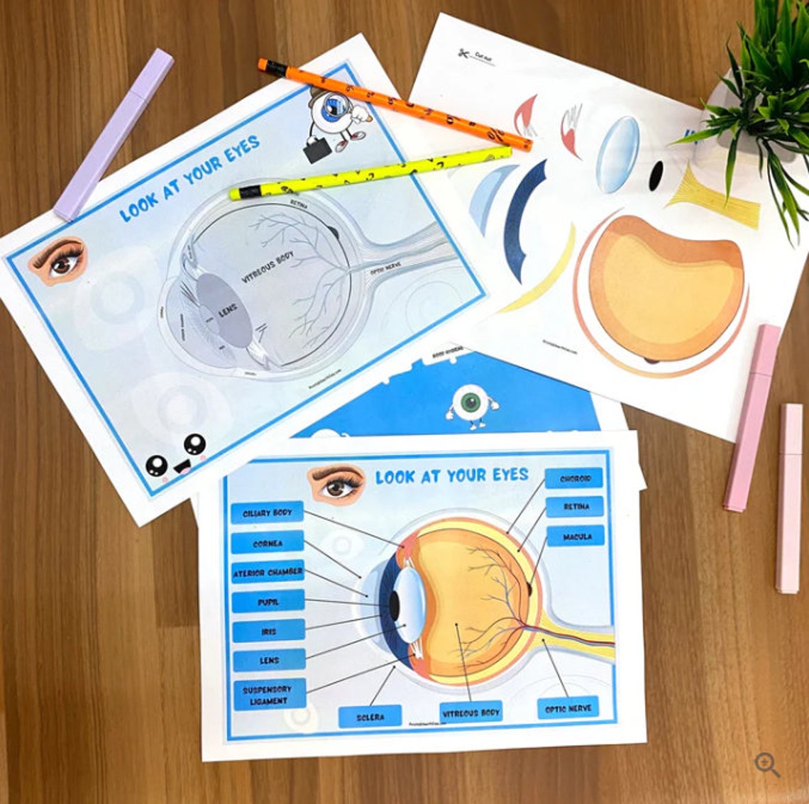 My First Anatomy Adventure Fun Educational Human Body Book for Kids ...