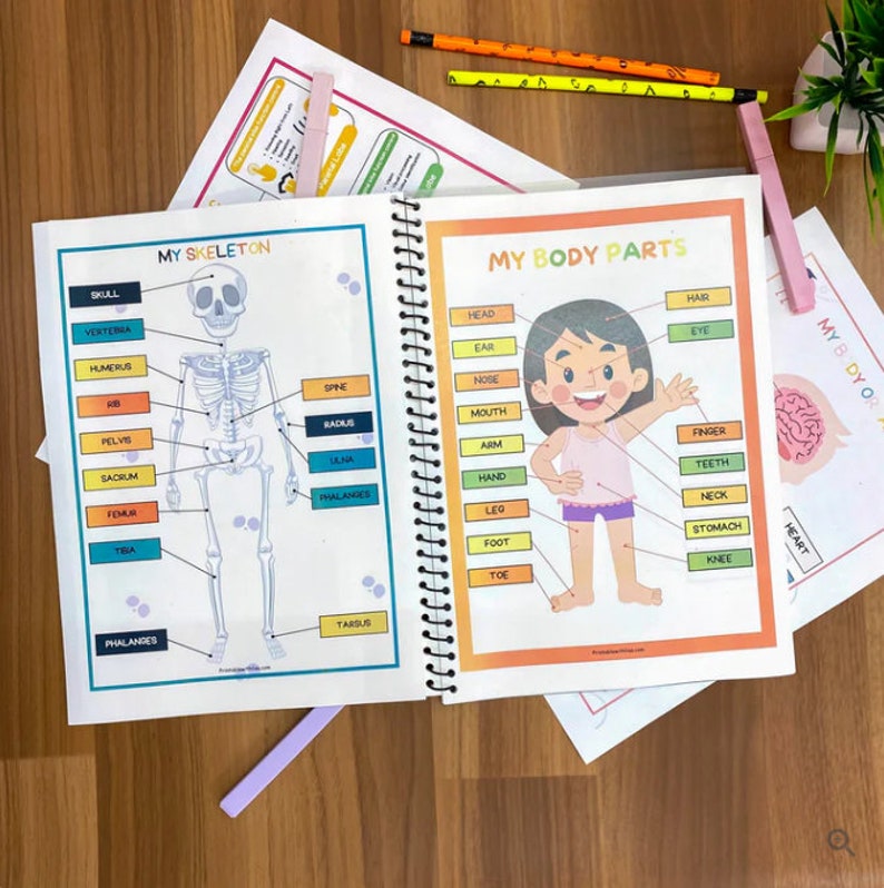 My First Anatomy Adventure Fun Educational Human Body Book for Kids ...