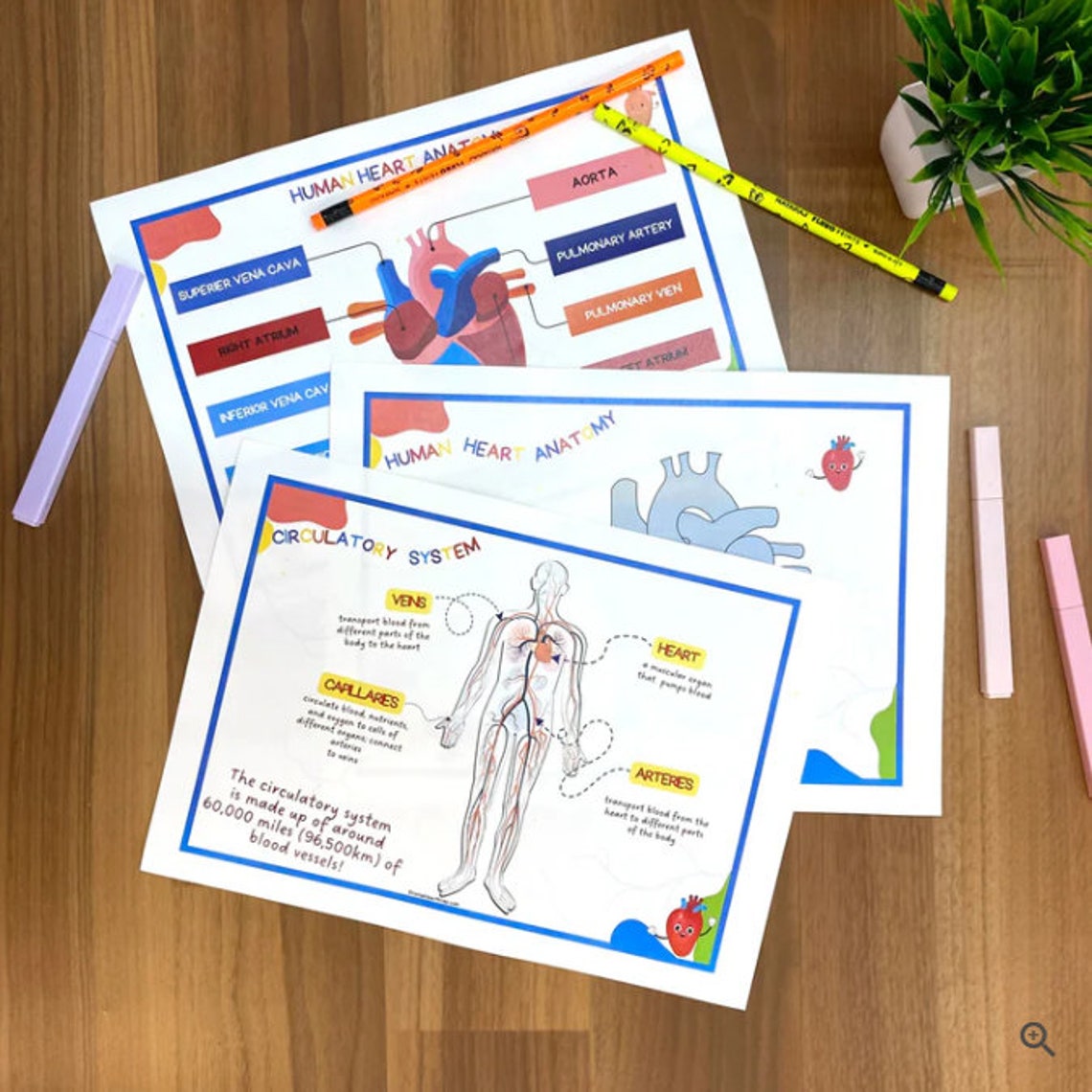 My First Anatomy Adventure Fun Educational Human Body Book for Kids ...