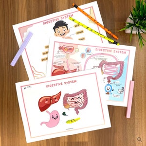 My First Anatomy Adventure Fun Educational Human Body Book for Kids ...