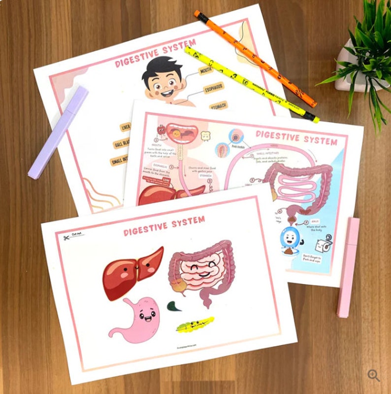 My First Anatomy Adventure Fun Educational Human Body Book for Kids ...