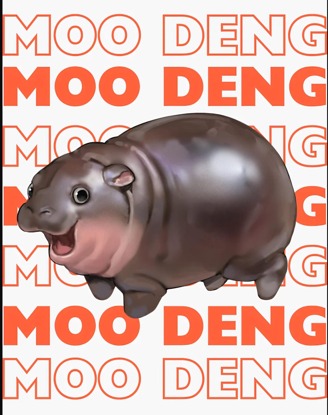 Moo Deng Bouncy Pig in Thailand Png, Khao Kheow Open Zoo Png, Hippo ...