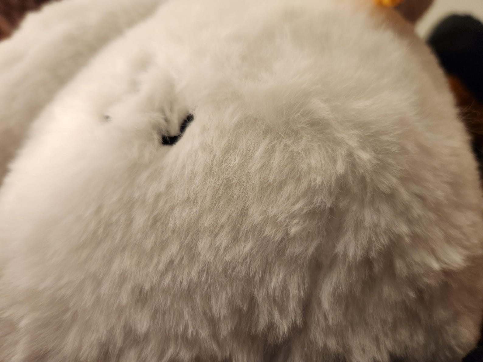 Wayne the Whooping Crane Plush Stuffed Animal - Etsy