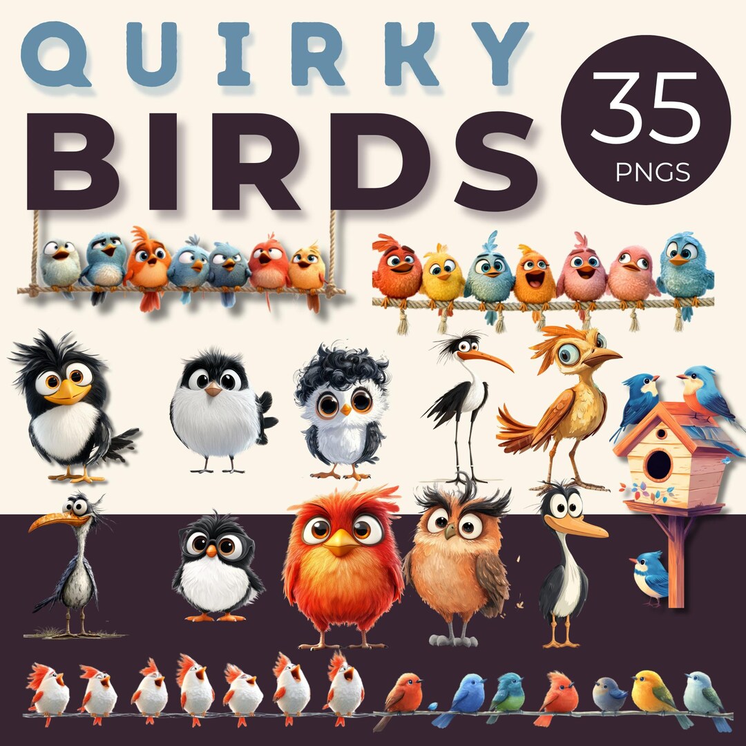Quirky Birds Clipart Bundle, Funny Birds Clipart, Cute Birds Png ...