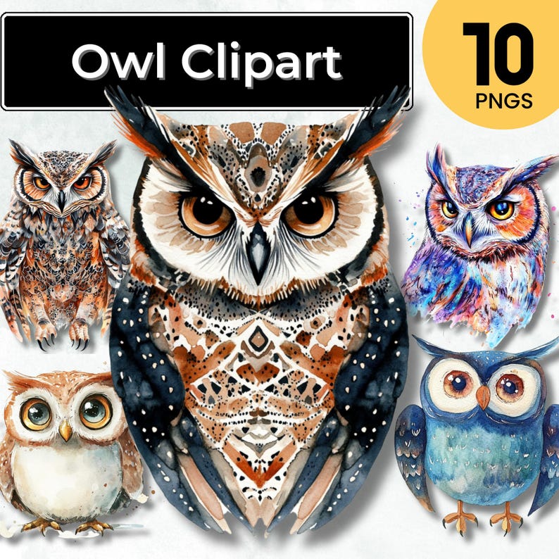 Set of 10, Watercolor Owl Clipart, Owl PNG, Cute Owl Clipart, Owl Art ...