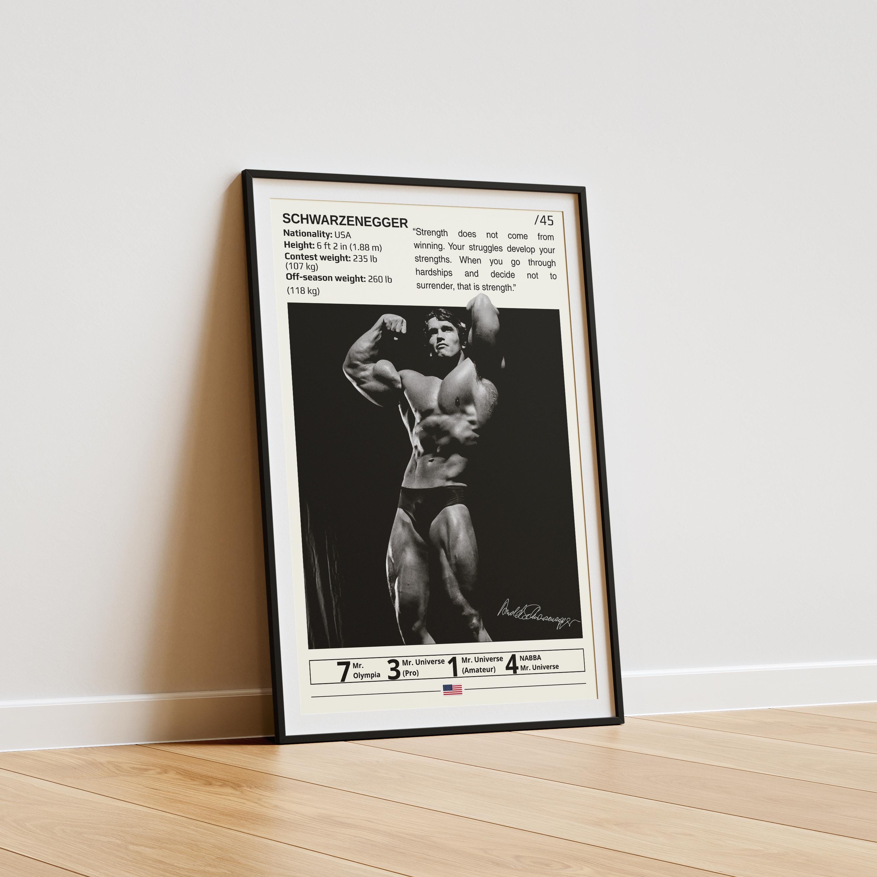 Arnold Schwarzenegger Poster, Bodybuilding Posters, Gym Wall Art ...