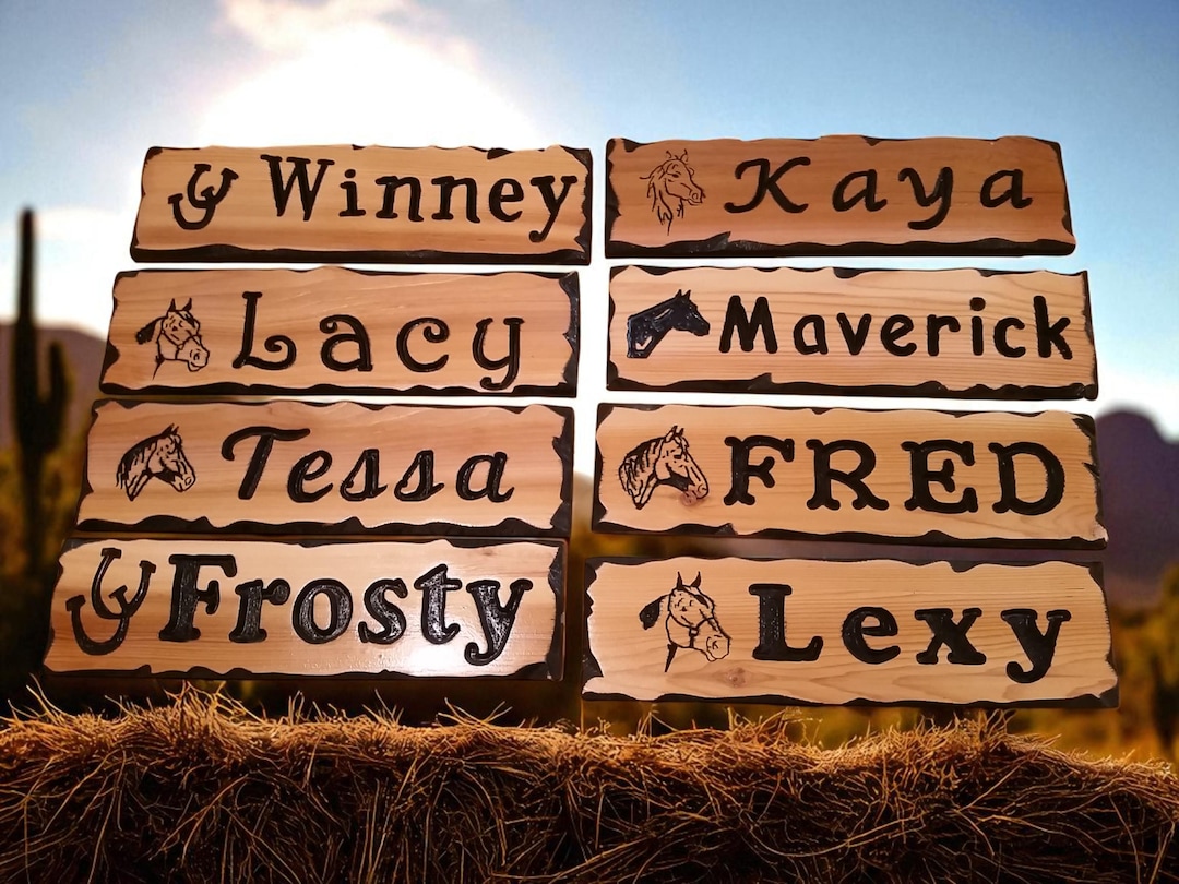Personalized Wooden Stall Signs for Horses, Donkeys, Pigs - Custom ...