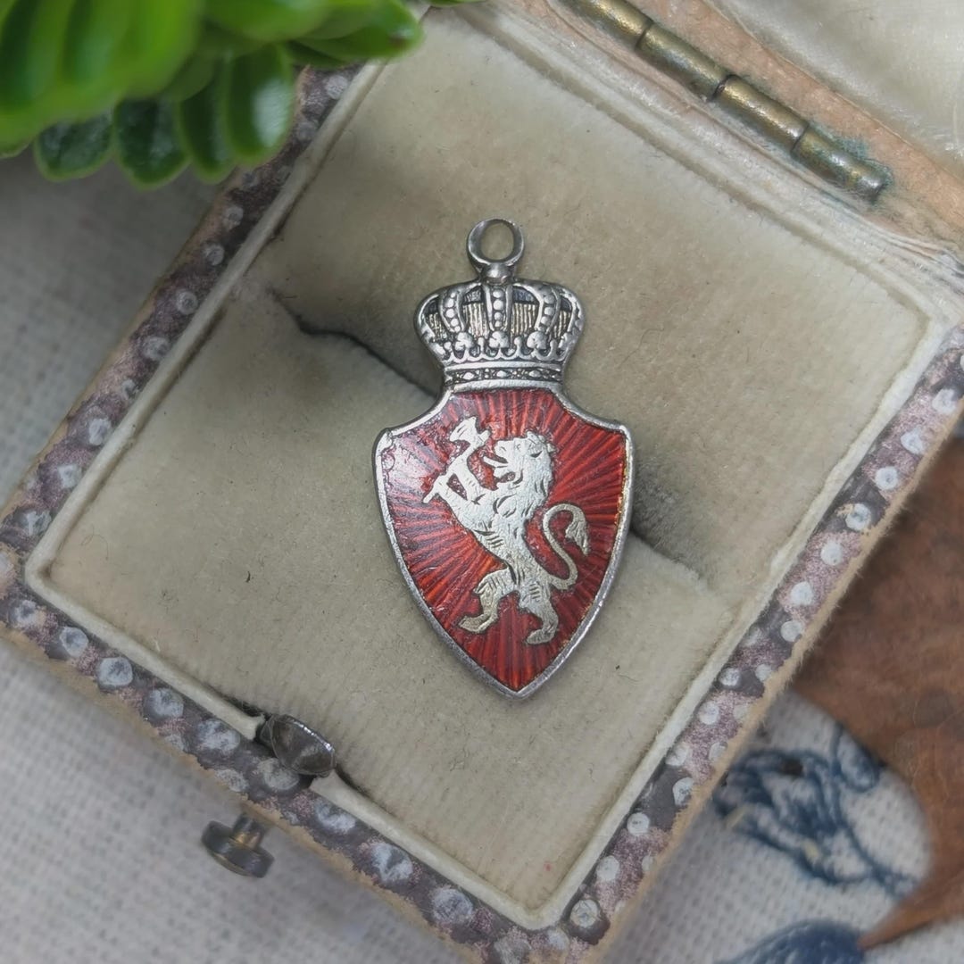 Vintage Silver Norwegian Coat of Arms Charm, Red Enamel Pendant - Etsy