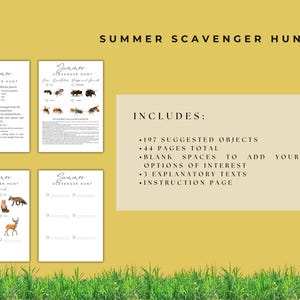 ULTIMATE Summer Scavenger Hunt Printable | Scientific Outdoor Activity ...