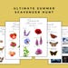 ULTIMATE Summer Scavenger Hunt Printable | Scientific Outdoor Activity ...