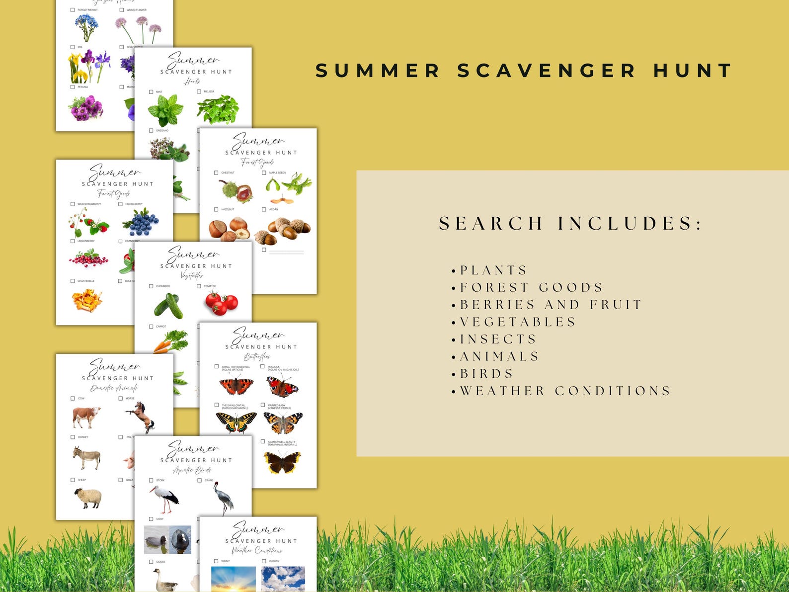 ULTIMATE Summer Scavenger Hunt Printable | Scientific Outdoor Activity ...